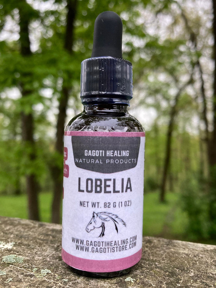 Lobelia Tincture – Gagoti Shop